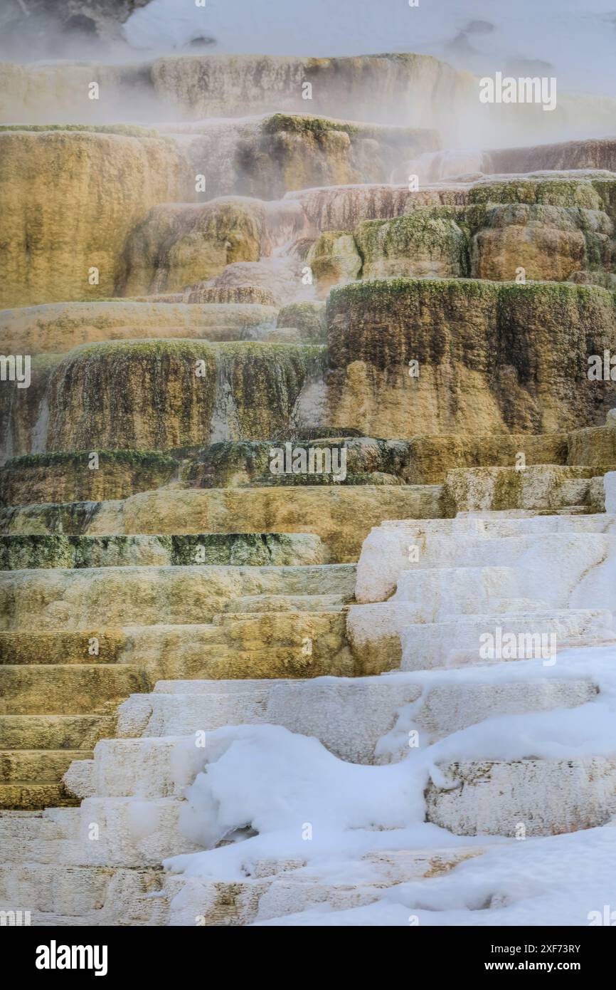 Travertine pools of Mammoth Hot Springs in Yellowstone National Park ...