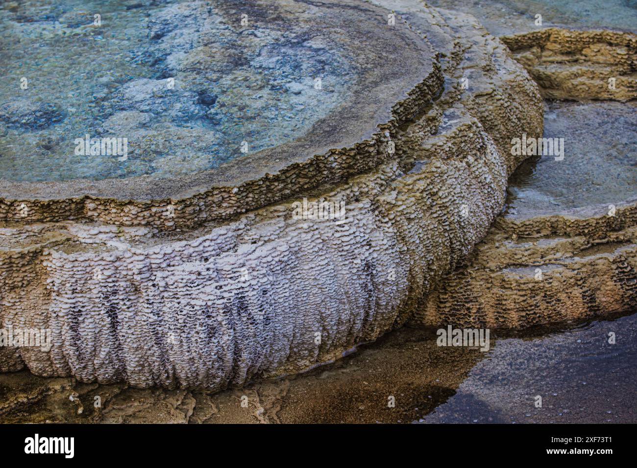 Travertine pools of Mammoth Hot Springs in Yellowstone National Park ...