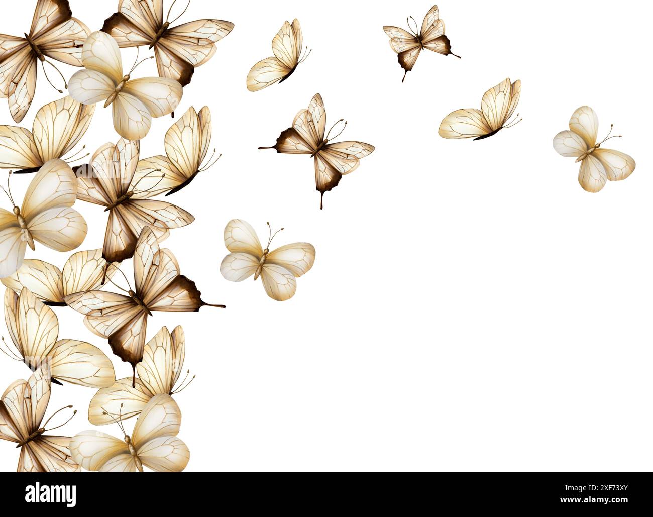 Frame, template with boho butterflies. Watercolor hand drawn beige ...