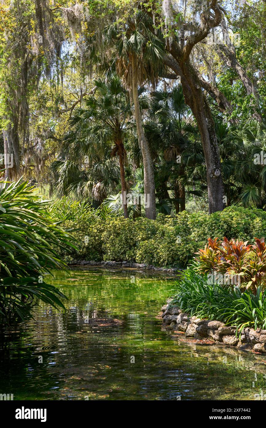 Rock lined pool and trees reflecting in the pond Stock Photo - Alamy