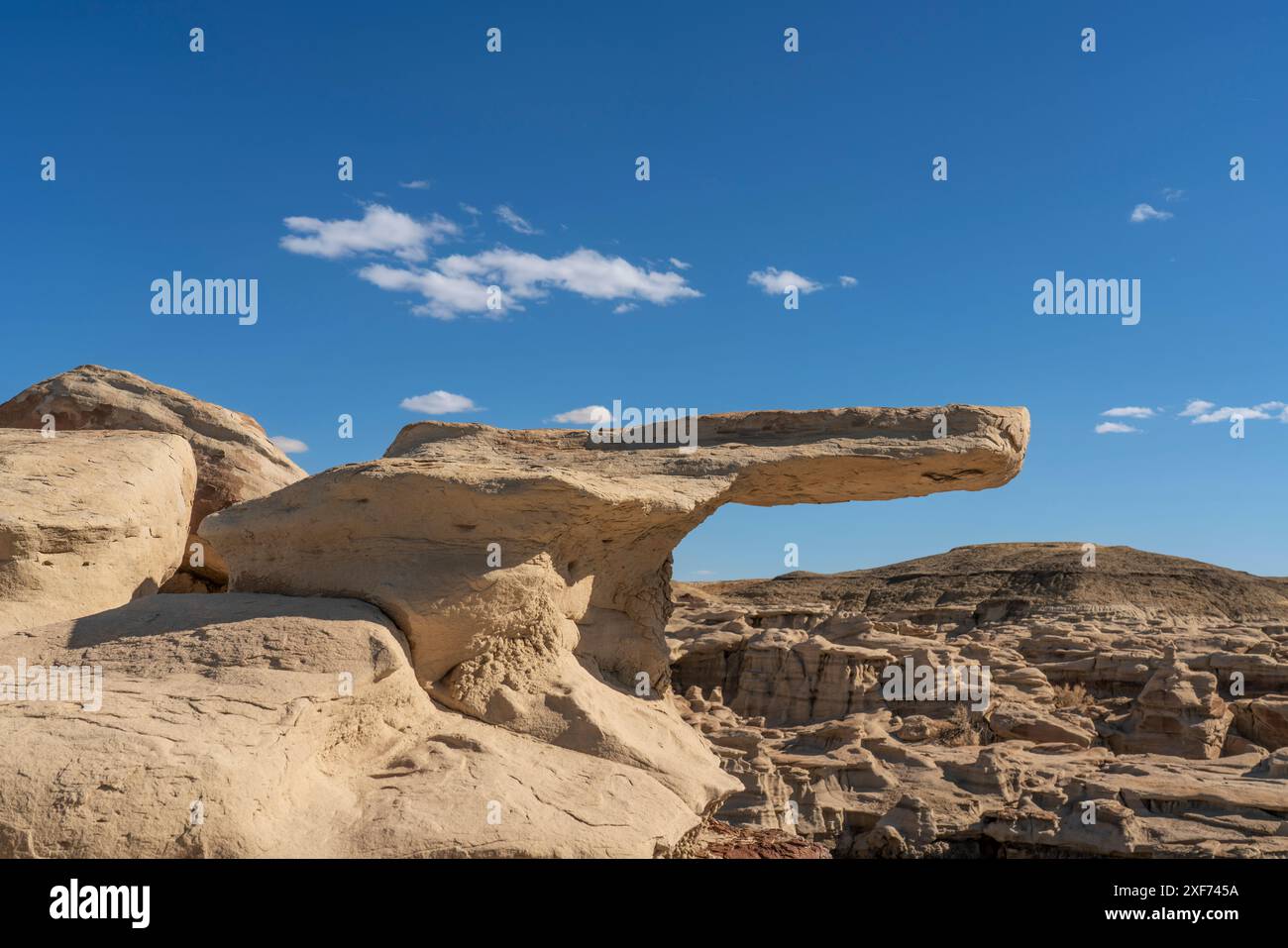 USA, New Mexico, Bisti/De-Na-Zin Wilderness. Mudstone protruding ...