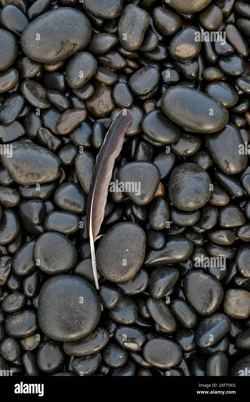 Shiny rocks hi-res stock photography and images - Alamy