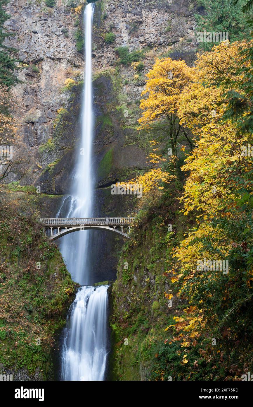USA, Oregon, Columbia River Gorge National Scenic Area. Multnomah Falls in Fall colors Stock ...