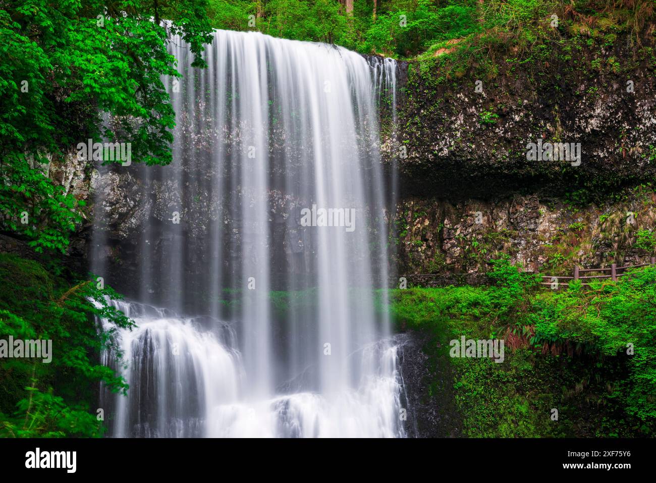 Lower South Falls, Silver Falls State Park, Oregon, USA Stock Photo - Alamy
