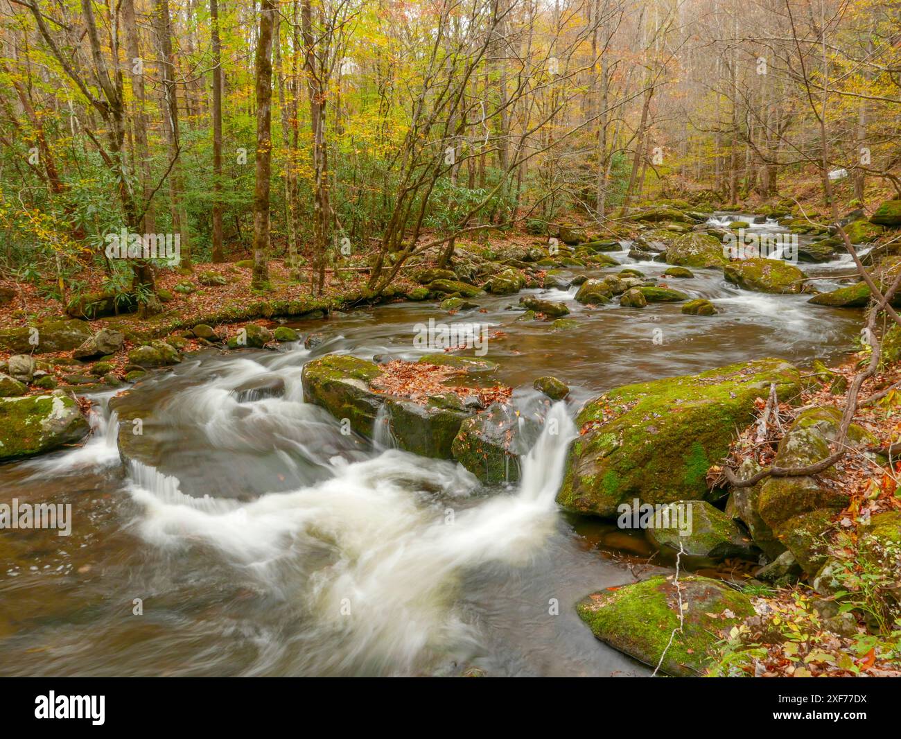 Great Smoky Mountains National Park, fall Stock Photo - Alamy
