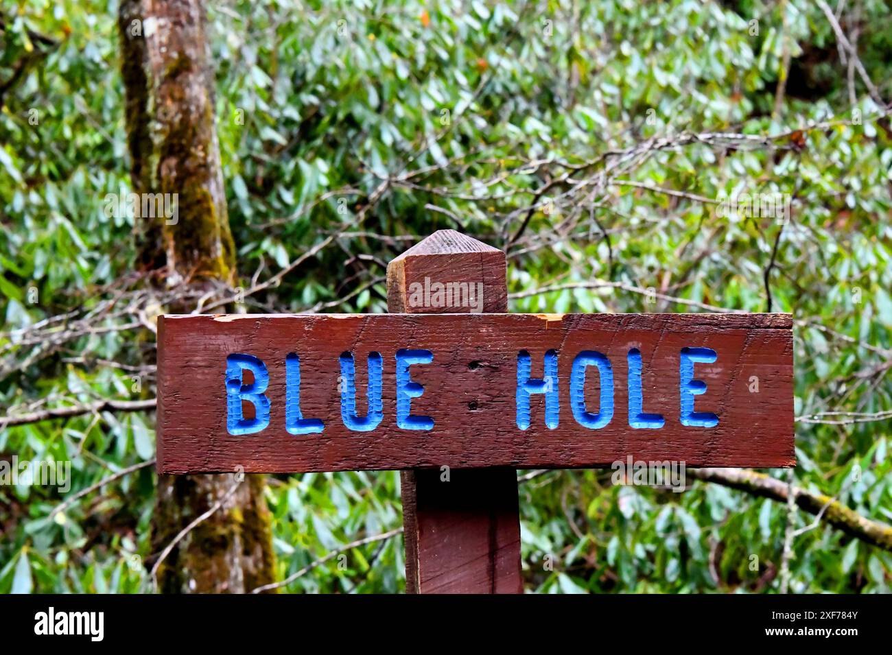 Blue Hole sign marks spot for swimming in Lamar Alexander Rocky Fork ...