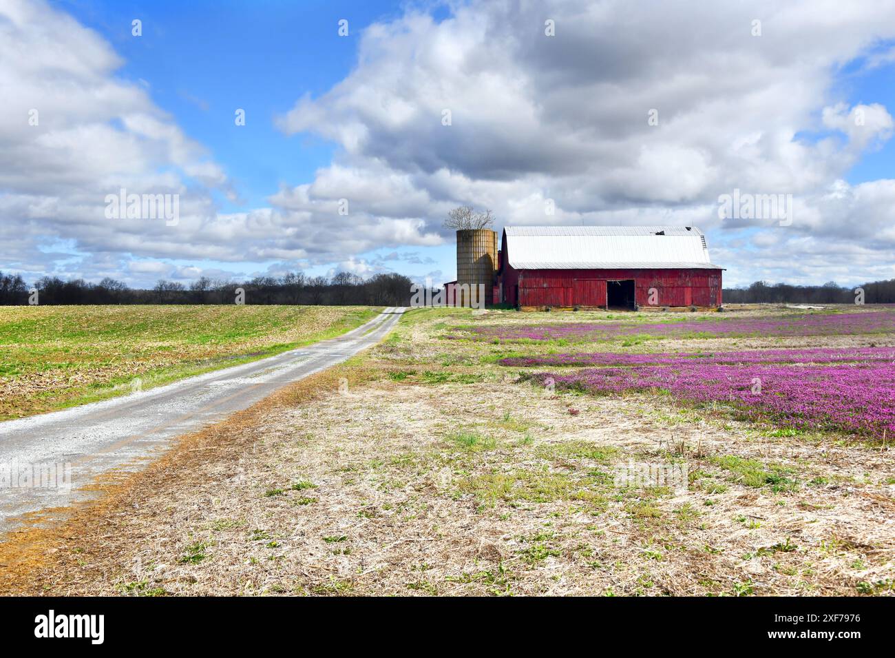 Farm, in North Carolina, has large red, wooden barn with tin roof. It ...