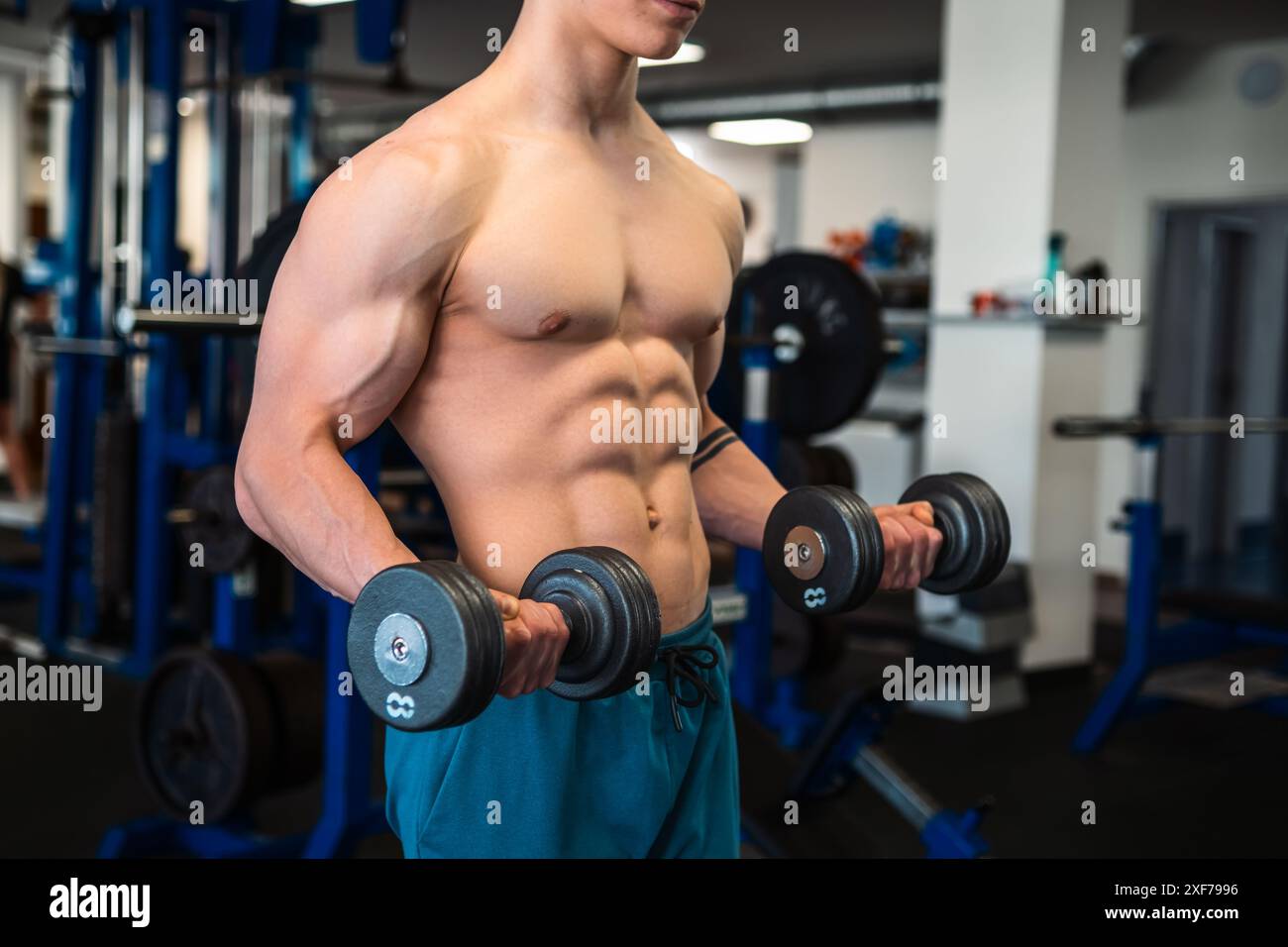Close up lifting dumbbells in a gym. Professional bodybuilder training ...
