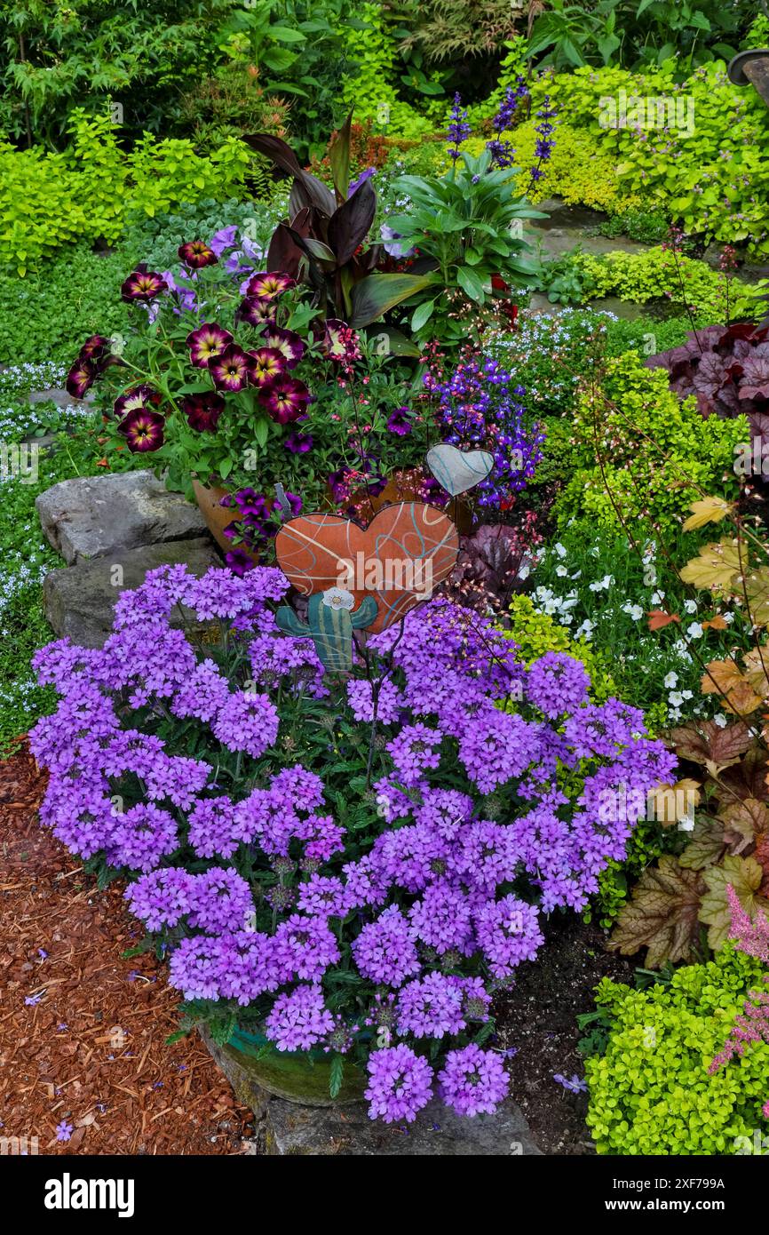 USA, Washington State, Sammamish. Summer perennial flower garden with ...