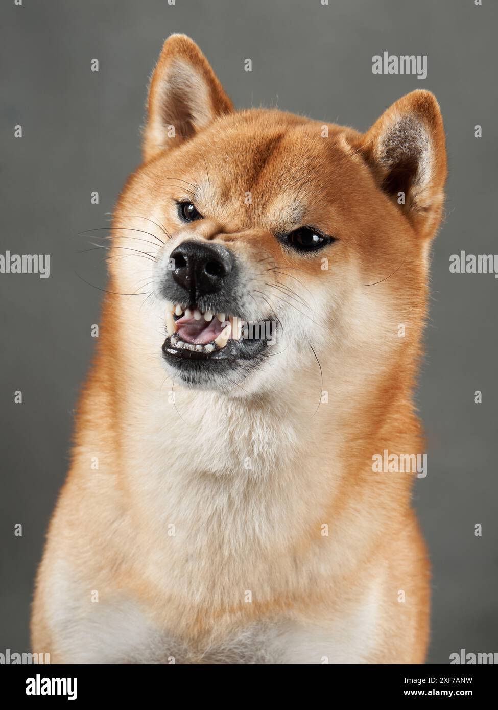 Subtle smirk hi-res stock photography and images - Alamy