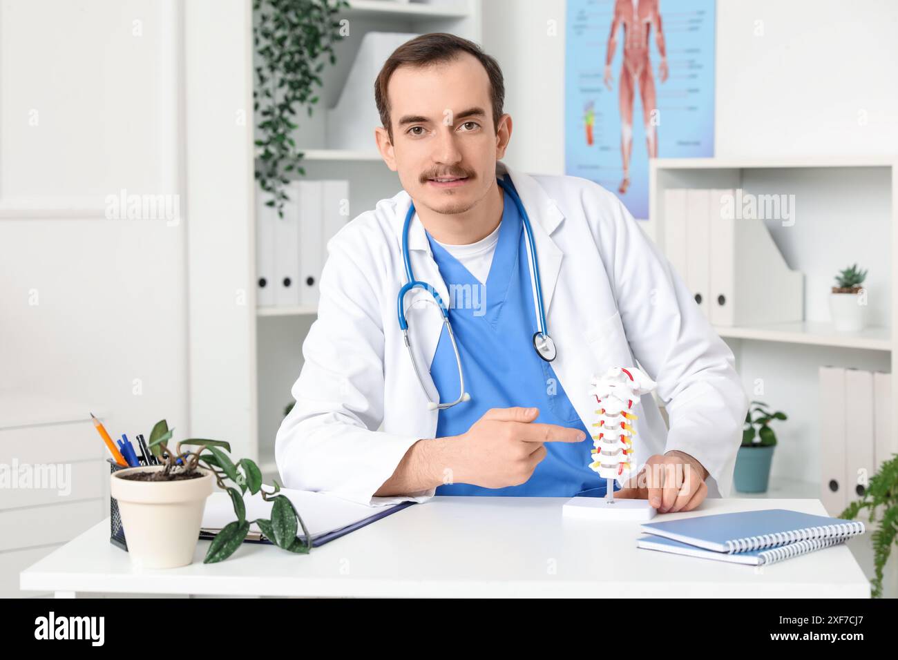 Male doctor demonstrating spinal anatomy with vertebral column model in ...