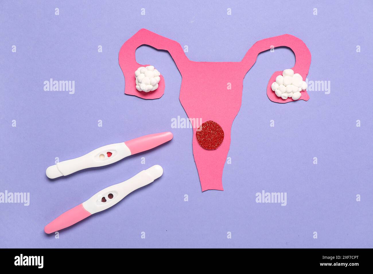 Paper uterus and pregnancy tests on purple background Stock Photo - Alamy