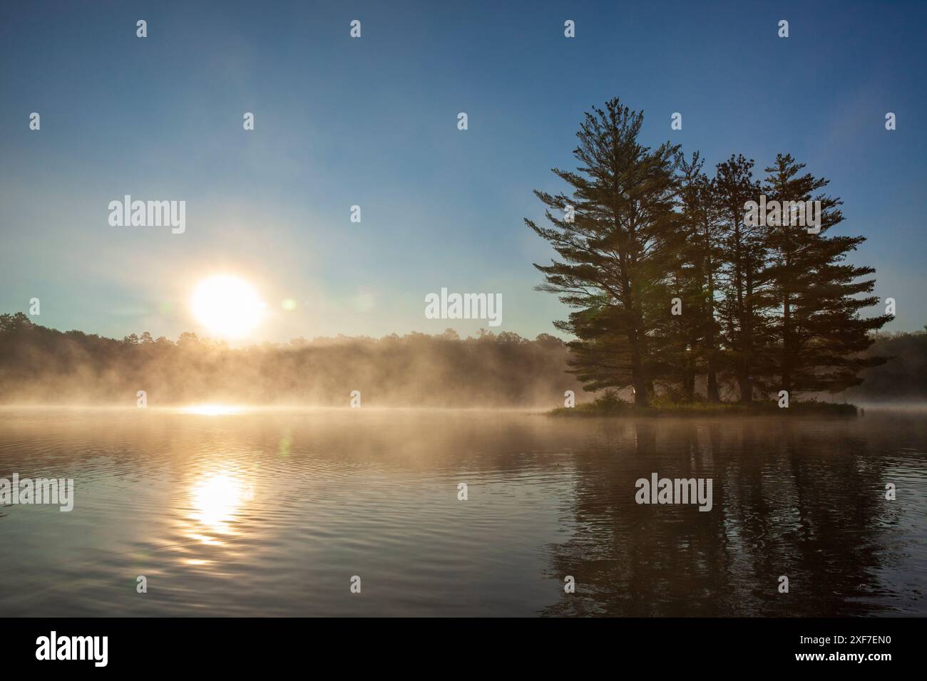Beautiful lake with trees hi-res stock photography and images - Alamy