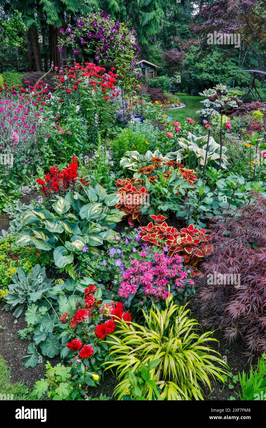 USA, Washington State, Sammamish. Summer perennial flower garden with ...