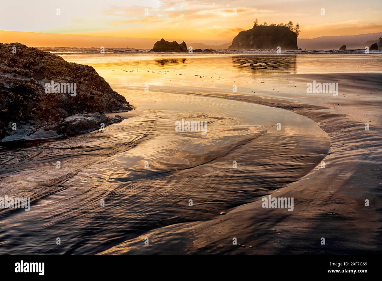 USA, Washington State, Olympic National Park, Ruby Beach. Sea stacks ...