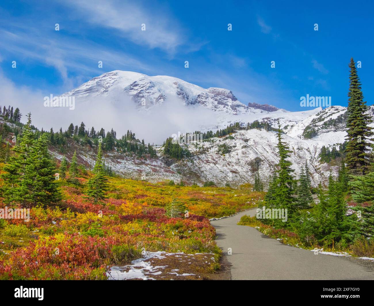 Washington State, Mount Rainier National Park. Mount Rainier with ...
