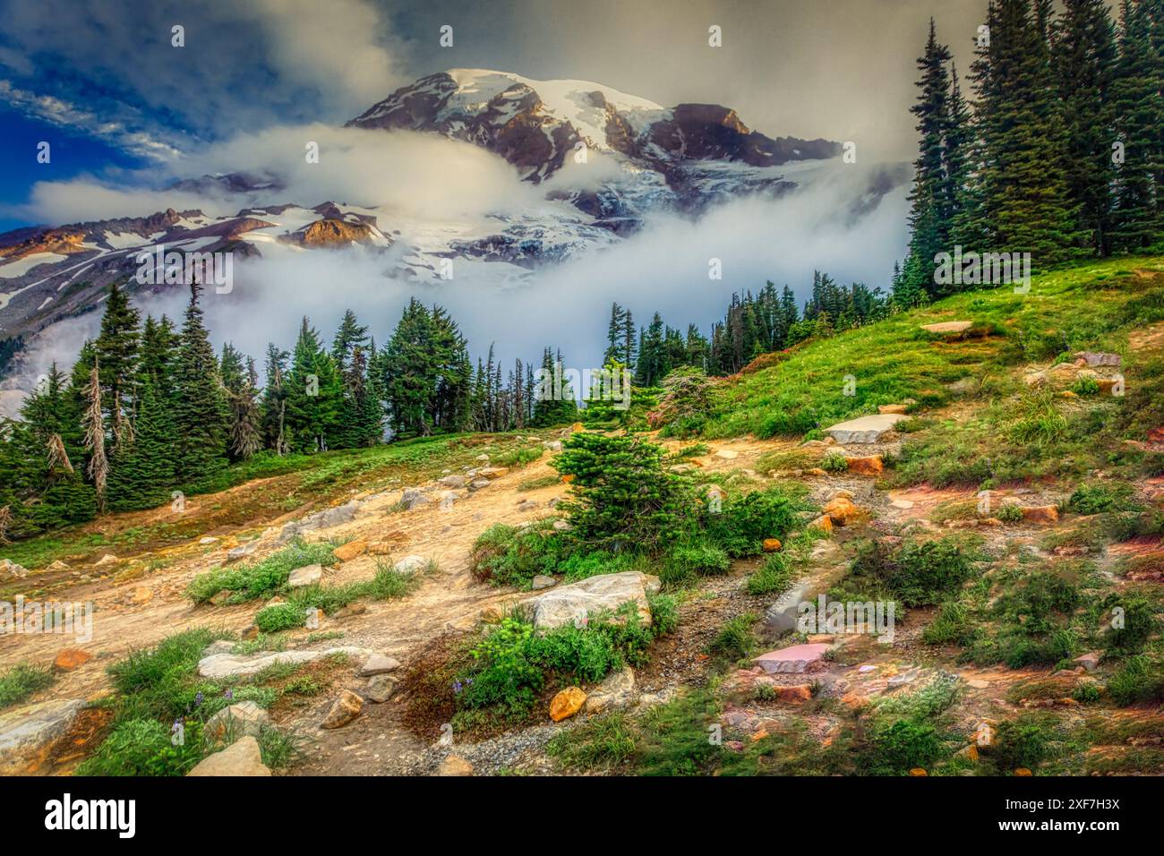 Mt. Rainier within the national park Stock Photo - Alamy