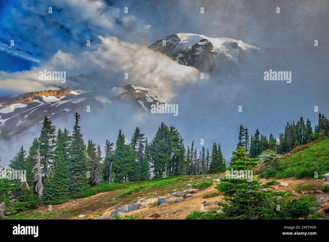 Mt. Rainier within the national park Stock Photo - Alamy