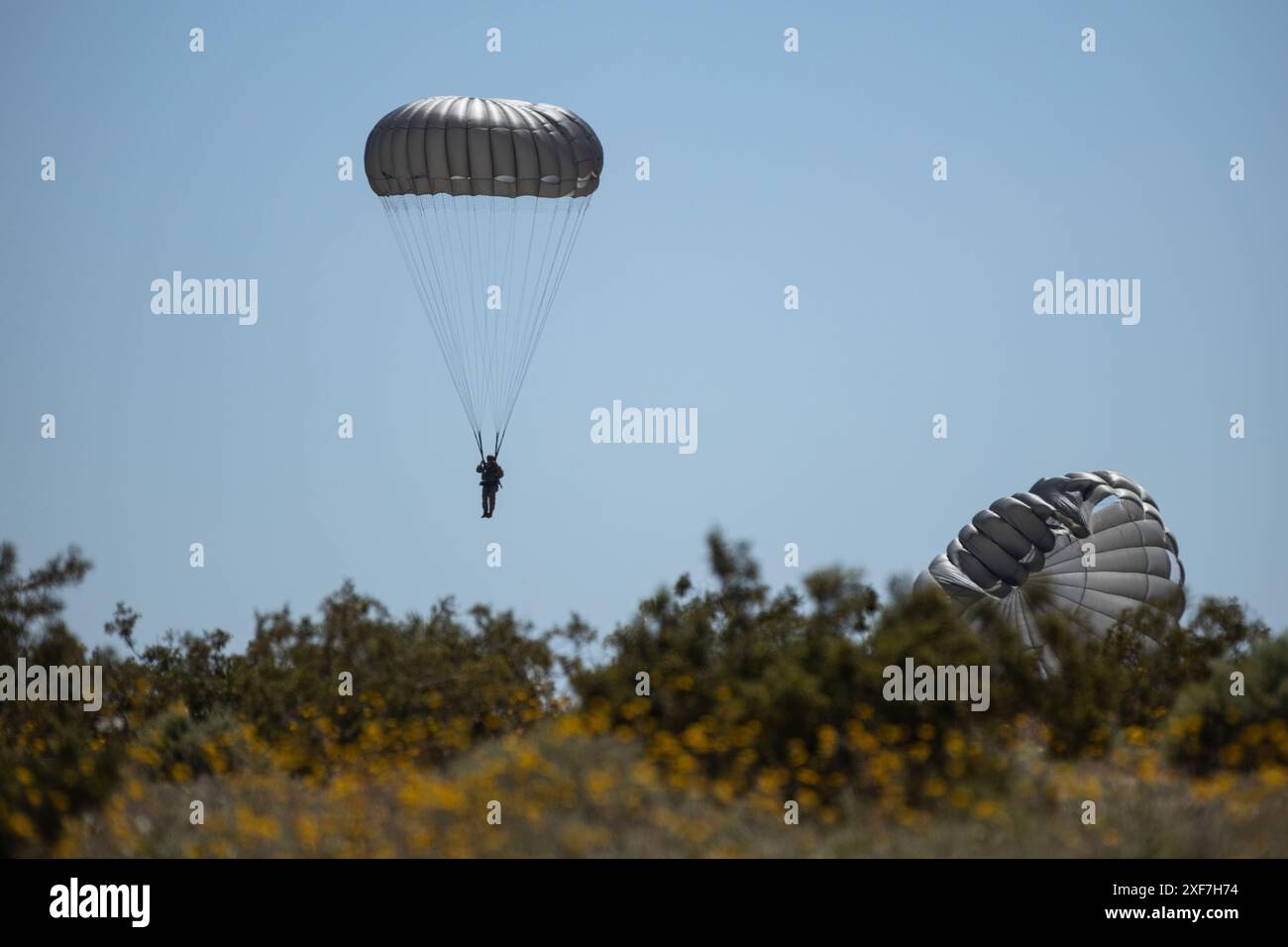 U.S. Marines with 1st Distribution Support Battalion, Combat Logistics ...