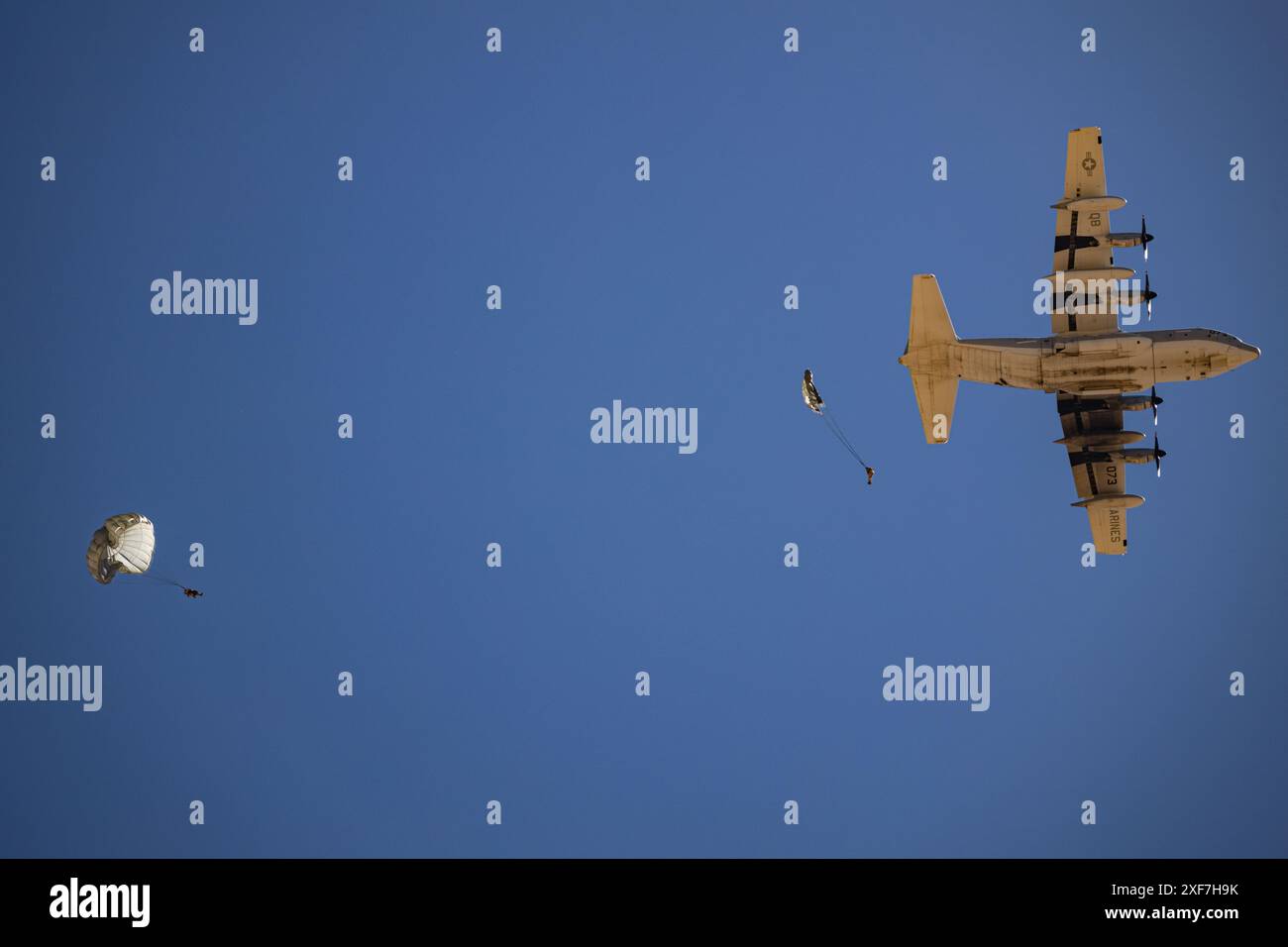 U.S. Marines with 1st Distribution Support Battalion, Combat Logistics ...