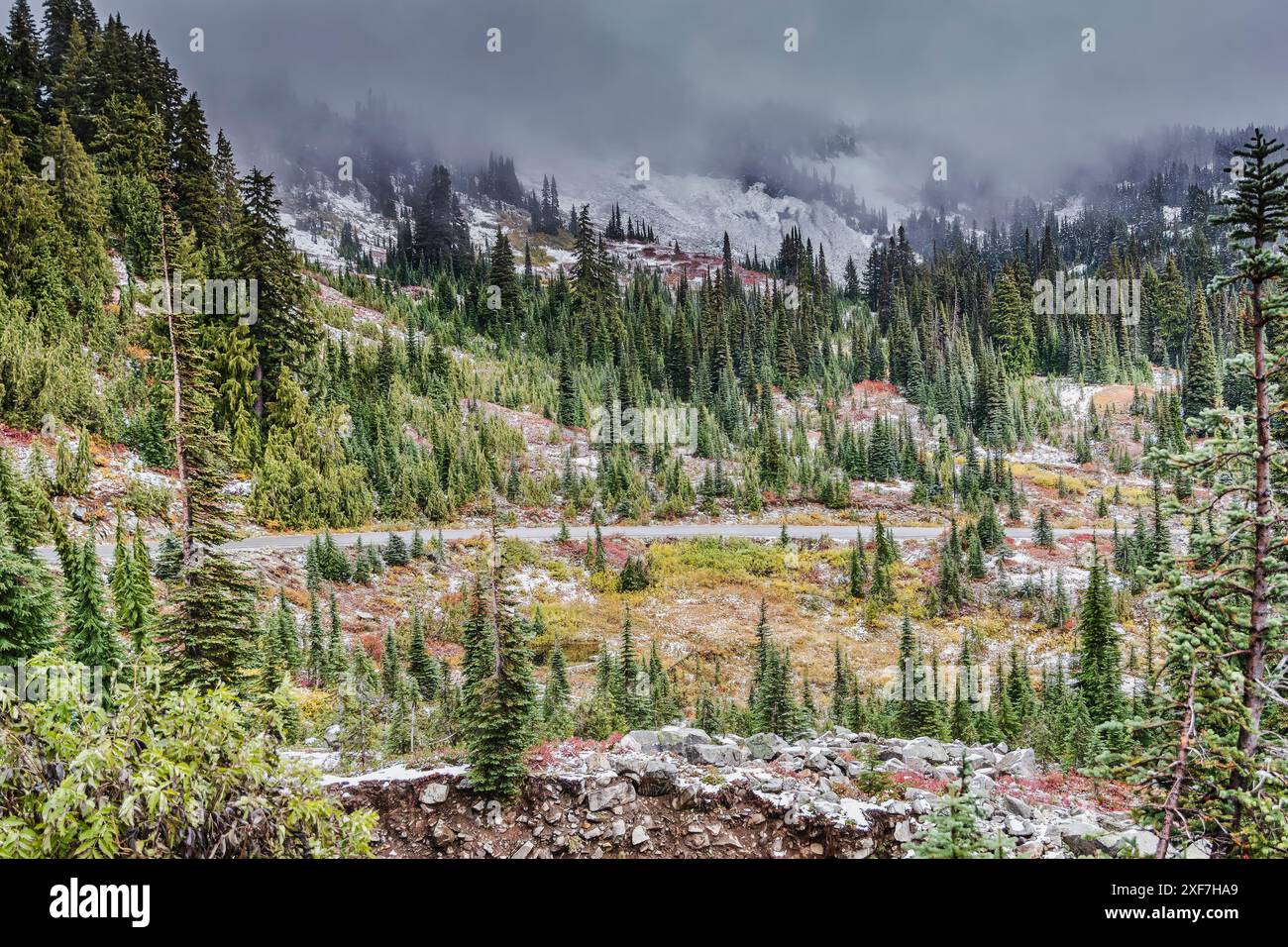 Stevens Canyon Area of Mt. Rainier National Park Stock Photo - Alamy