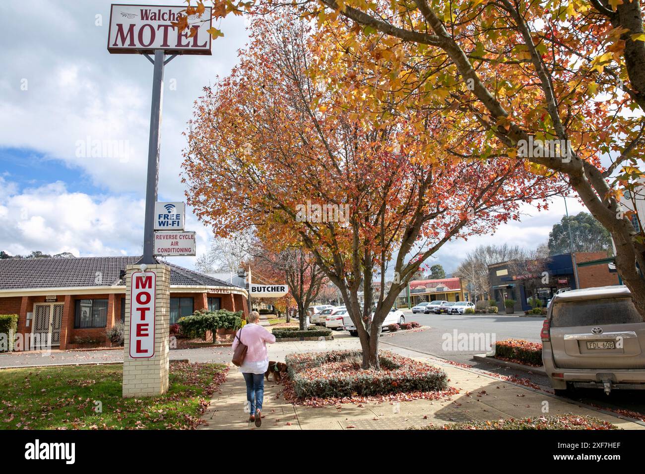 Walcha, australian town in the New England region, model released woman ...