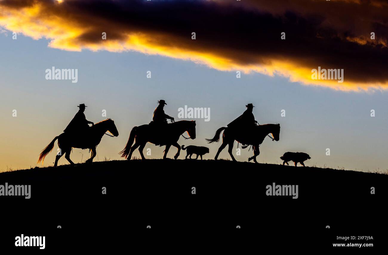 USA, Wyoming, Shell. Hideout Ranch, Big Horn Mountain Range Stock Photo ...