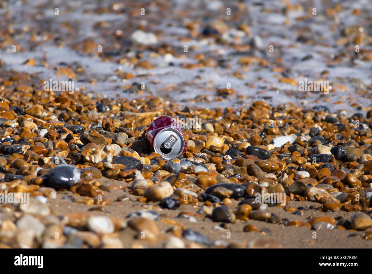 Litter on Pebbled Beach Stock Photo - Alamy