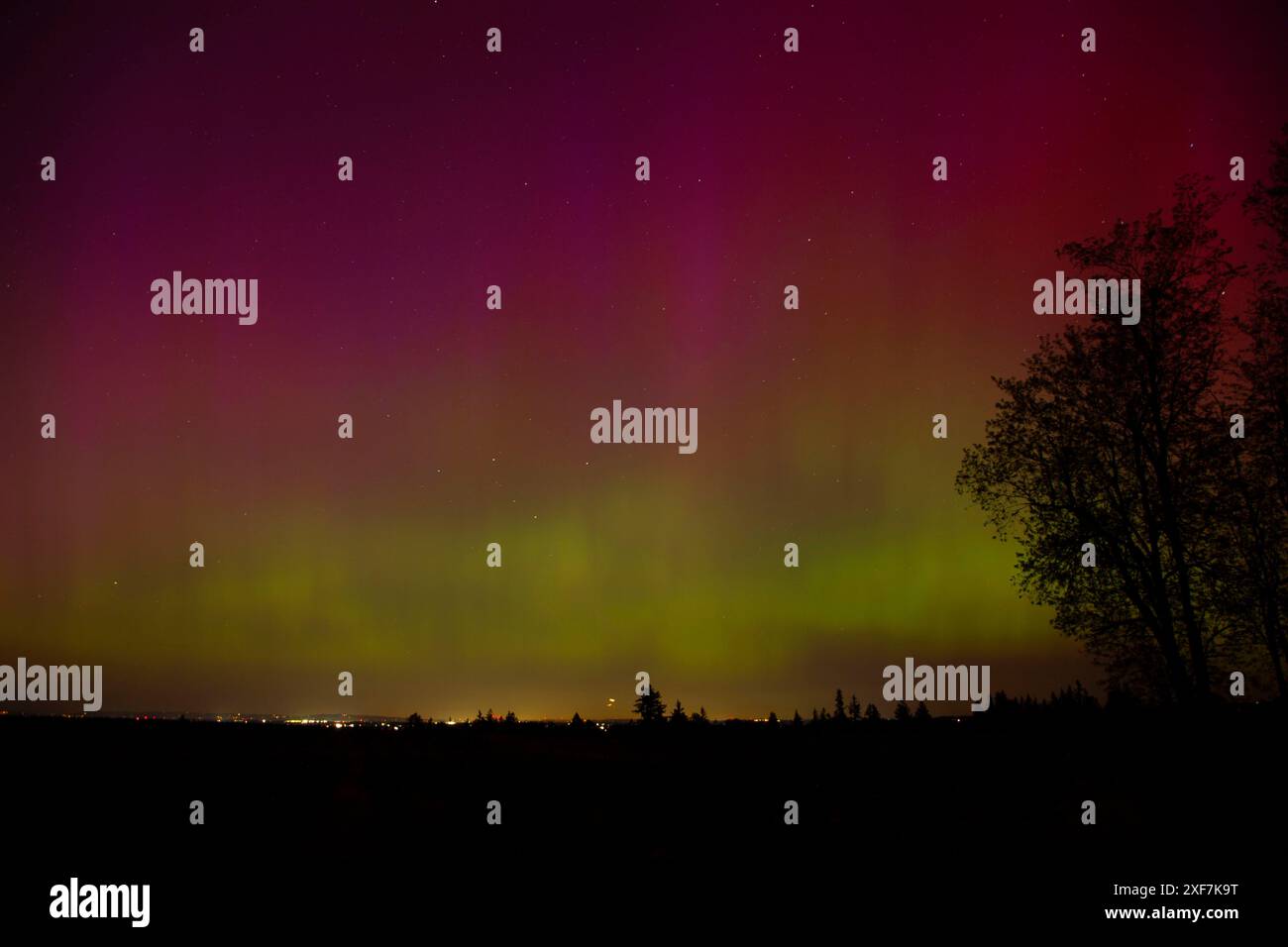 Northern lights, Marion County, Oregon Stock Photo - Alamy
