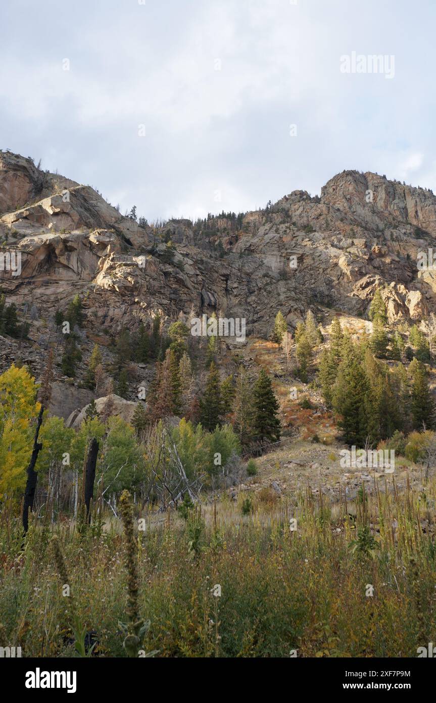 Mountain scenery in the rocky mountains hi-res stock photography and ...
