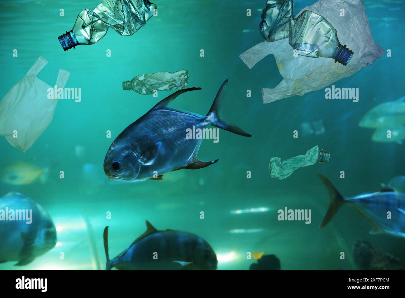 Fishes swimming among plastic garbage in sea. Environmental pollution ...