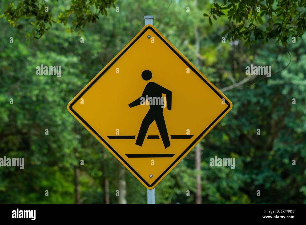 Pedestrian walkway crossing Stock Photo - Alamy