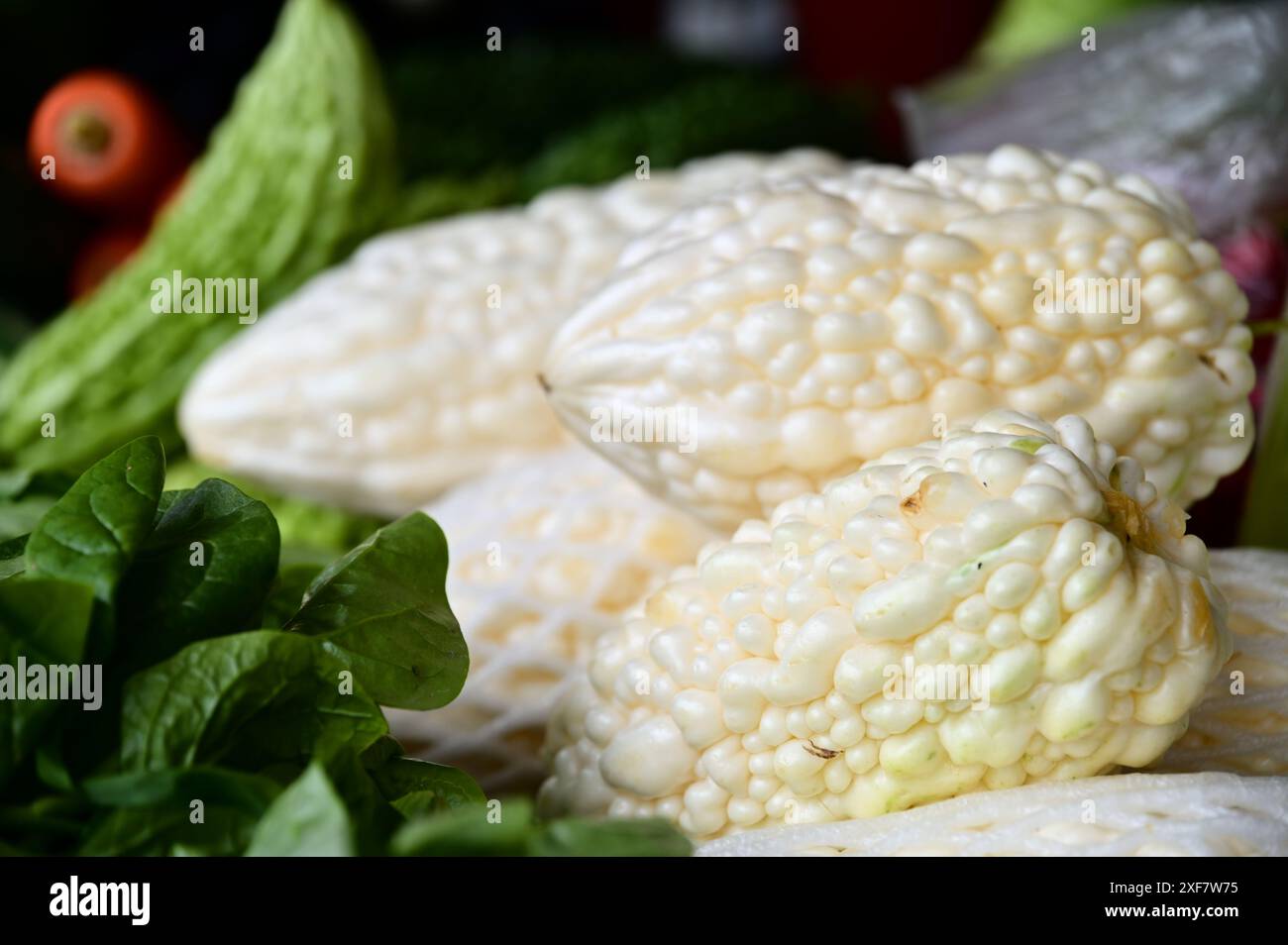 Close-up of White Jade bitter gourd at vegetable stall. Unveiling the ...
