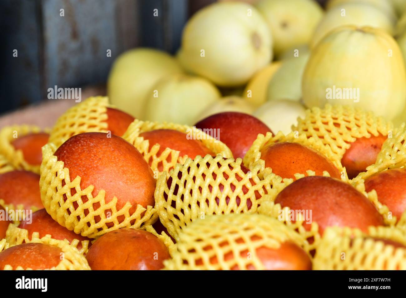 Taiwan Mangoes: A Taste of Summer. Originally from India, mangoes are ...