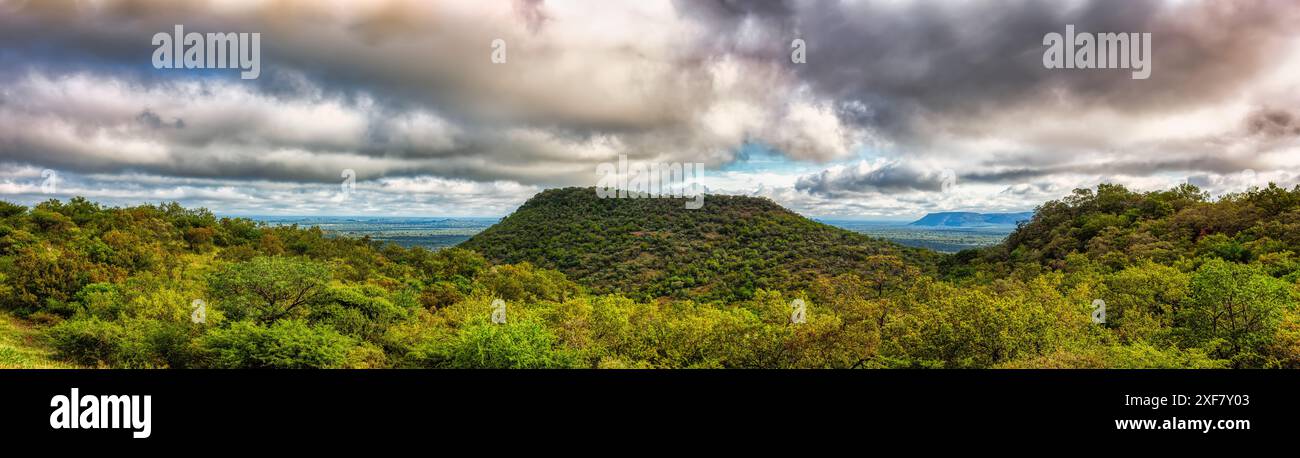 African sunrise acacia trees in hi-res stock photography and images - Alamy