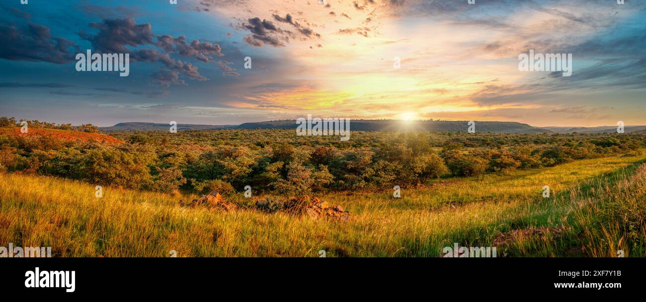African panorama hi-res stock photography and images - Alamy