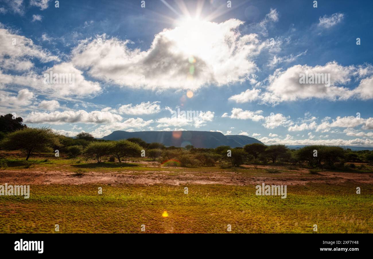 wide view mountain range, african landscape outback panorama, acacia ...
