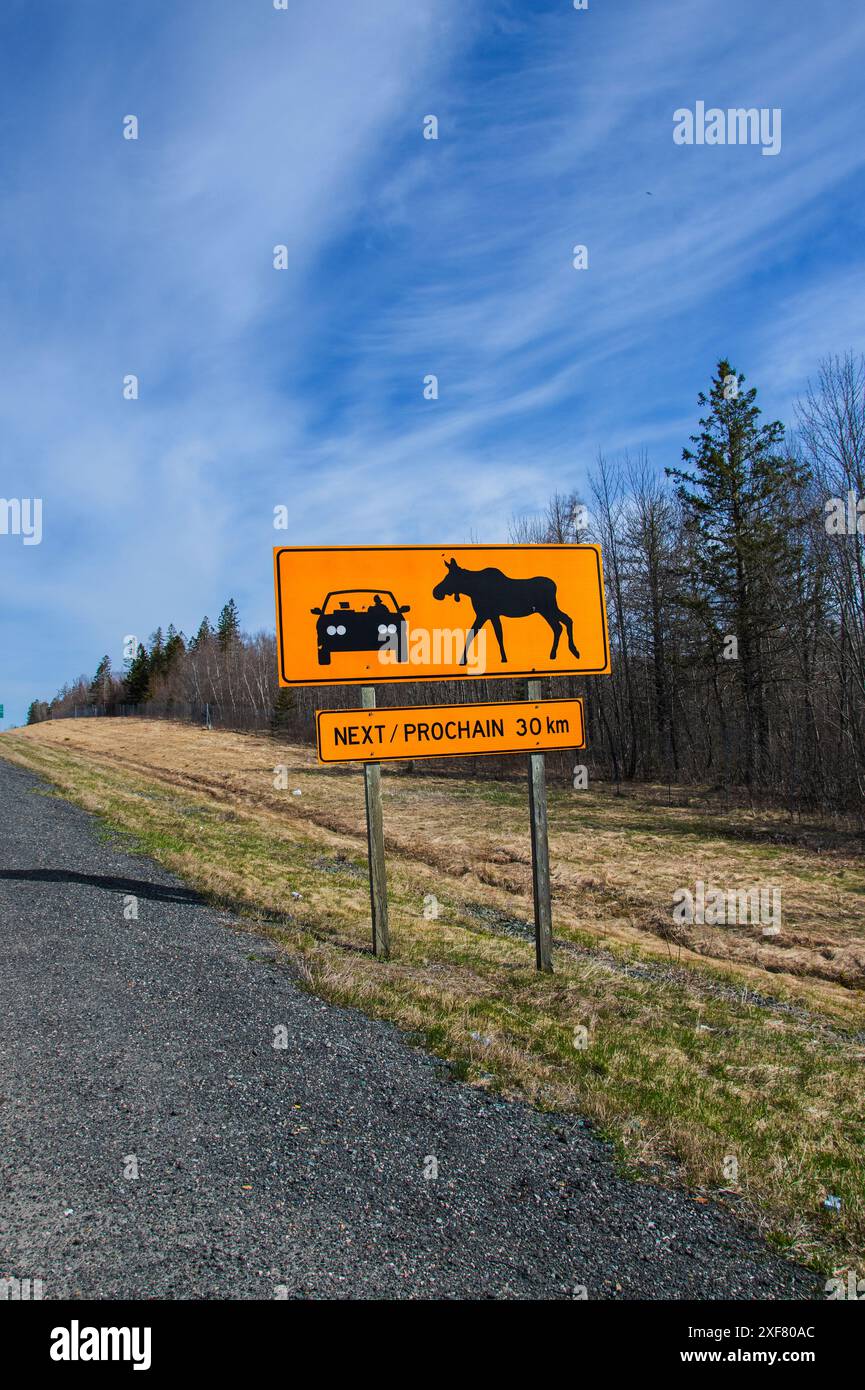 Moose warning sign on NB 7 in Oromocto, New Brunswick, Canada Stock ...