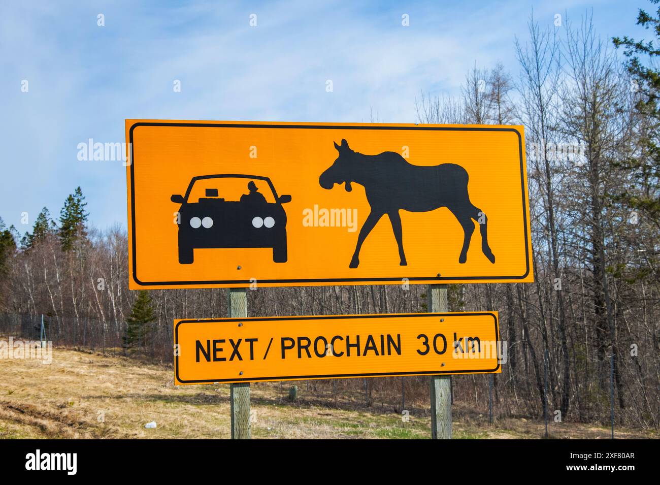 Moose warning sign on NB 7 in Oromocto, New Brunswick, Canada Stock ...