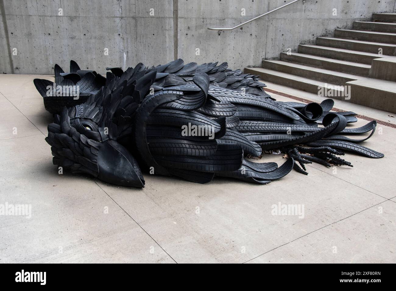 Sculpture of a dead bird that hit a window at the Beaverbrook Art ...