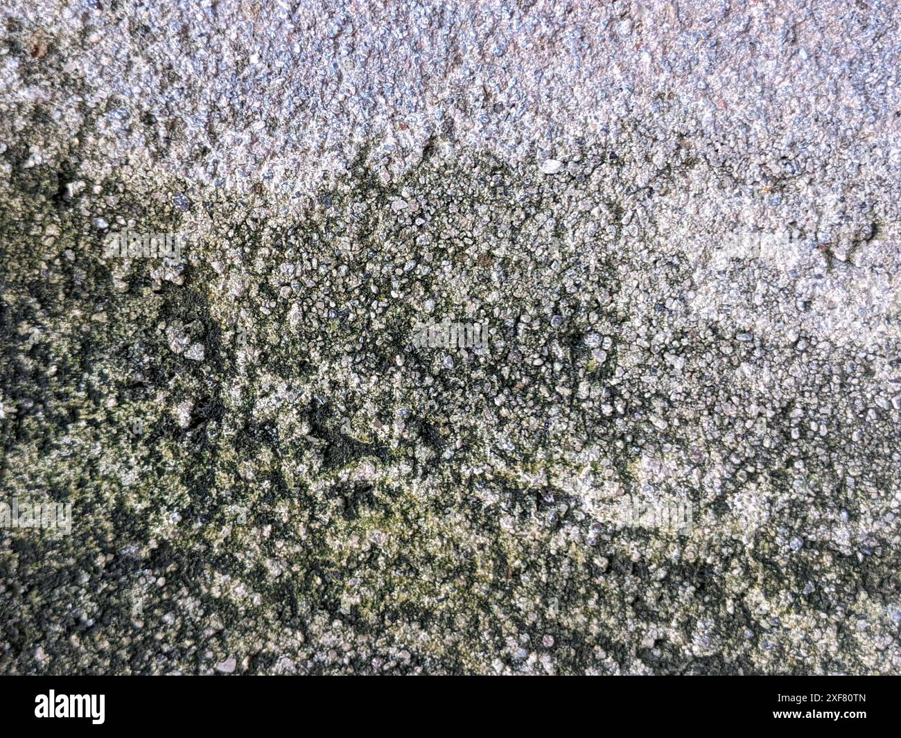 Rough surface, Cement plaster wall texture Stock Photo - Alamy