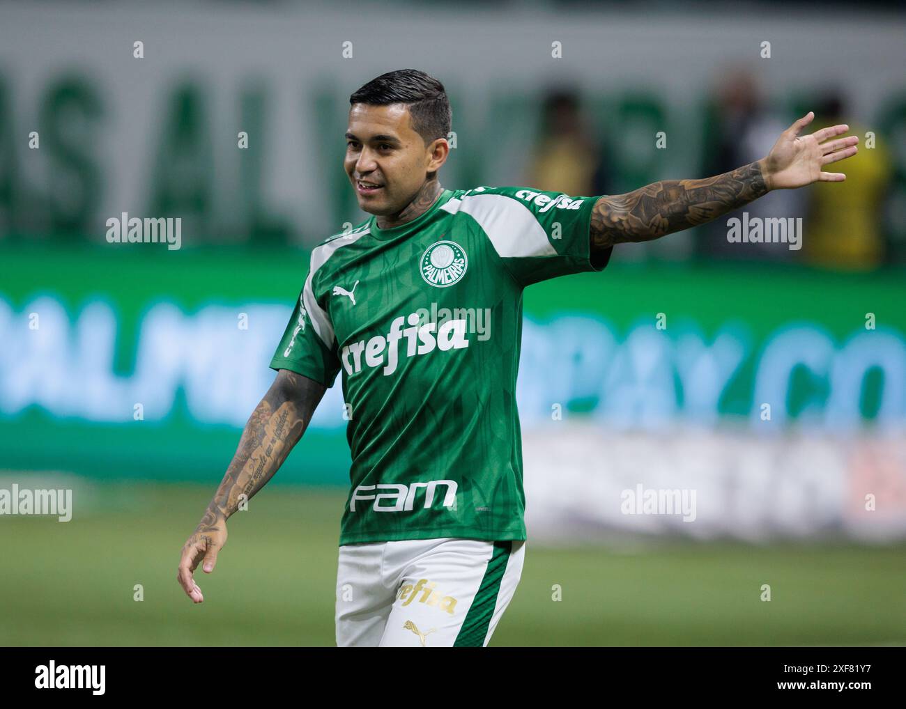 Dudu palmeiras july 2024 hi-res stock photography and images - Alamy
