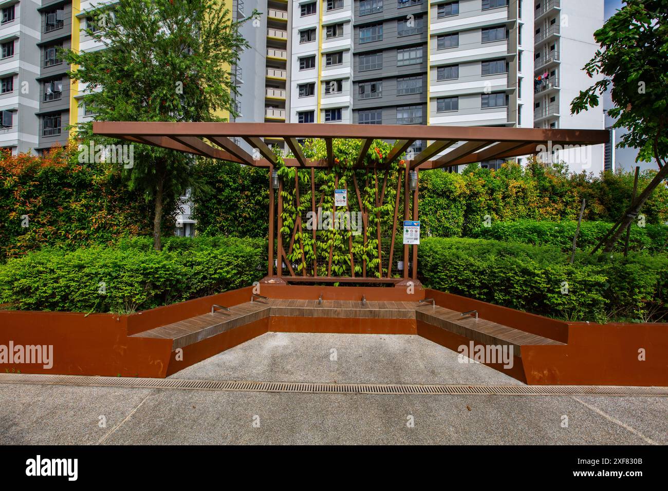 Rooftop outdoor green garden. Lush nature greenery landscaping facility ...