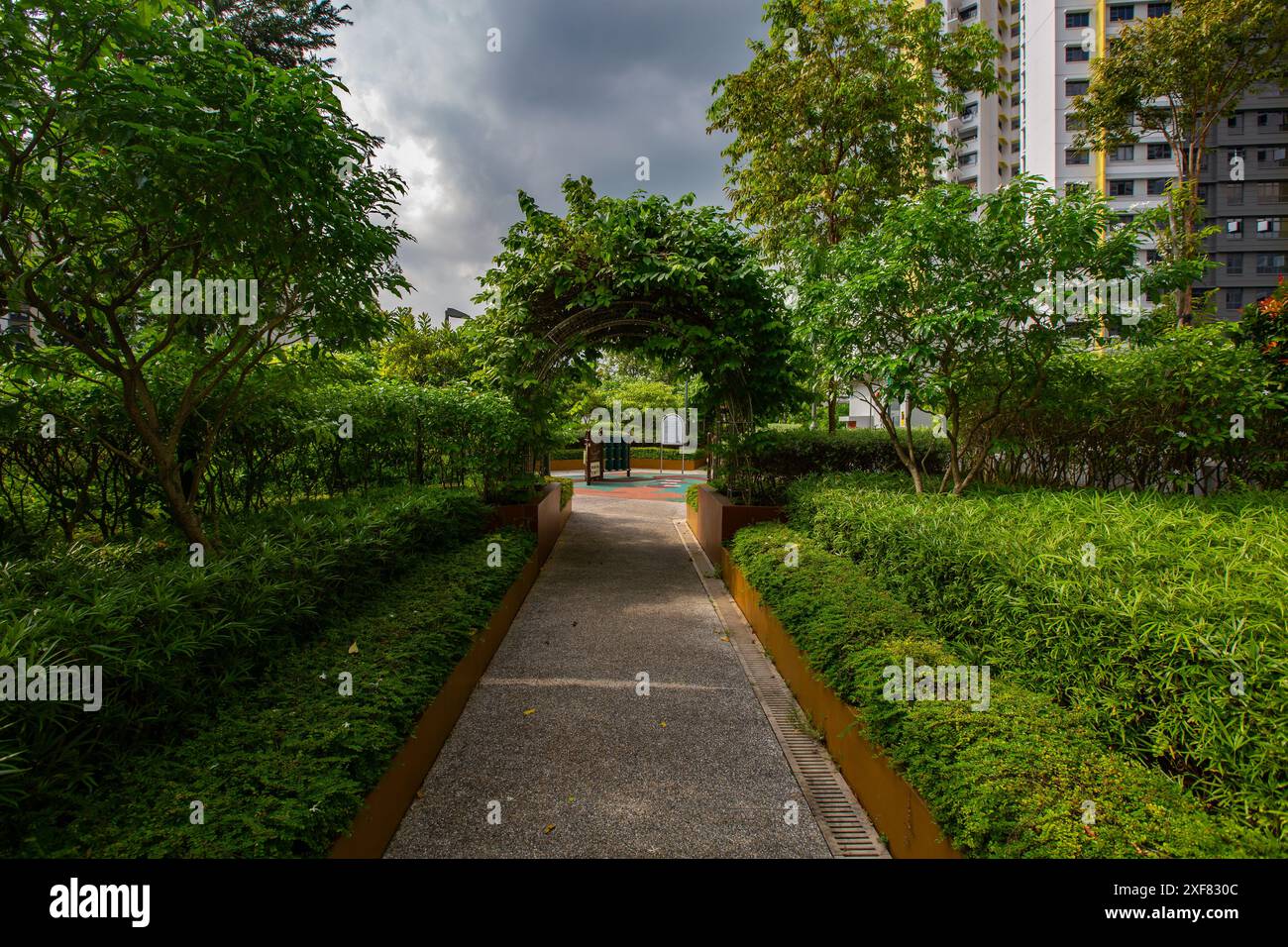 Rooftop garden, curved structure, vines plants grown over the top to ...