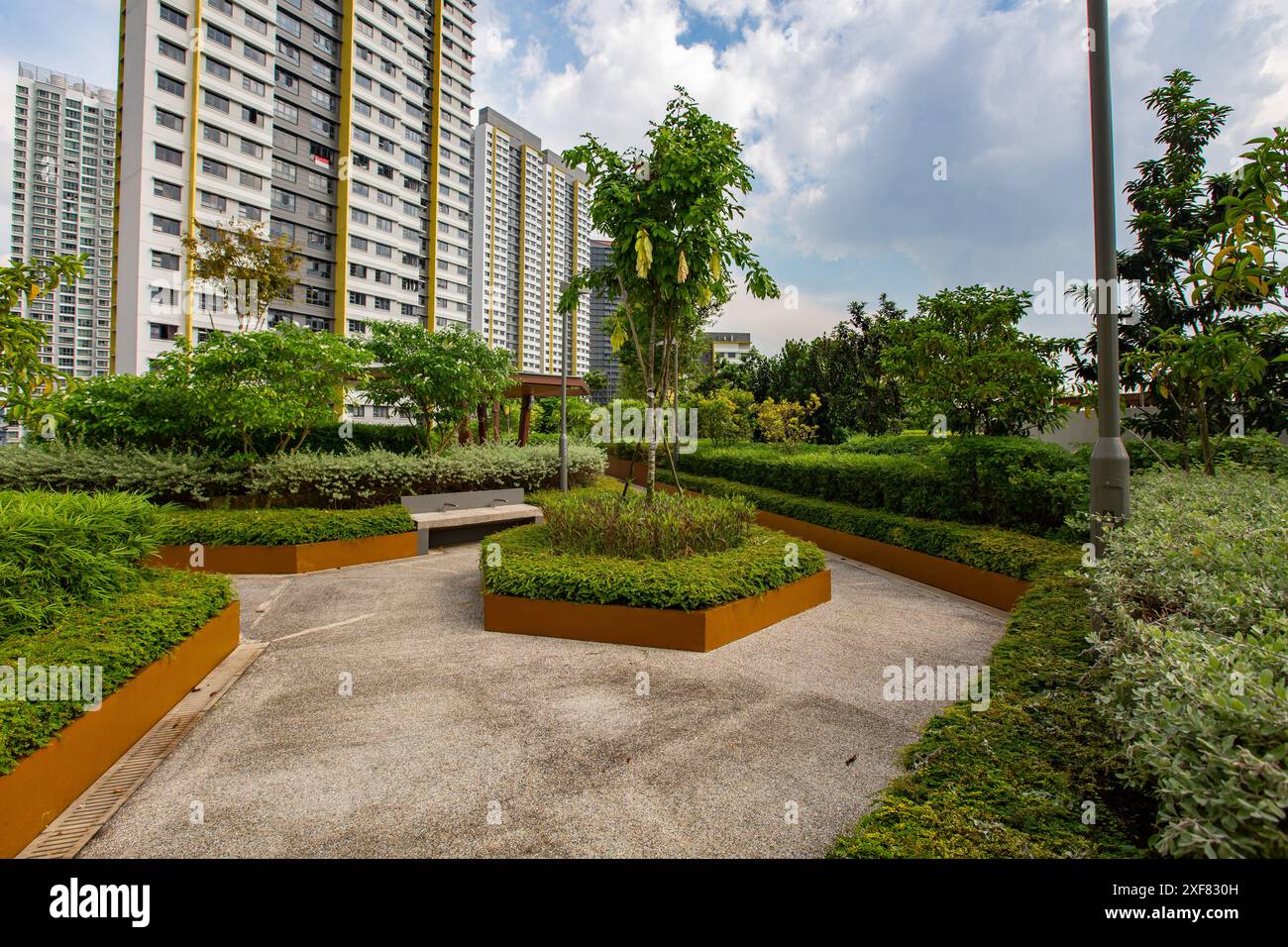 Rooftop outdoor green garden. Lush nature greenery landscaping facility ...