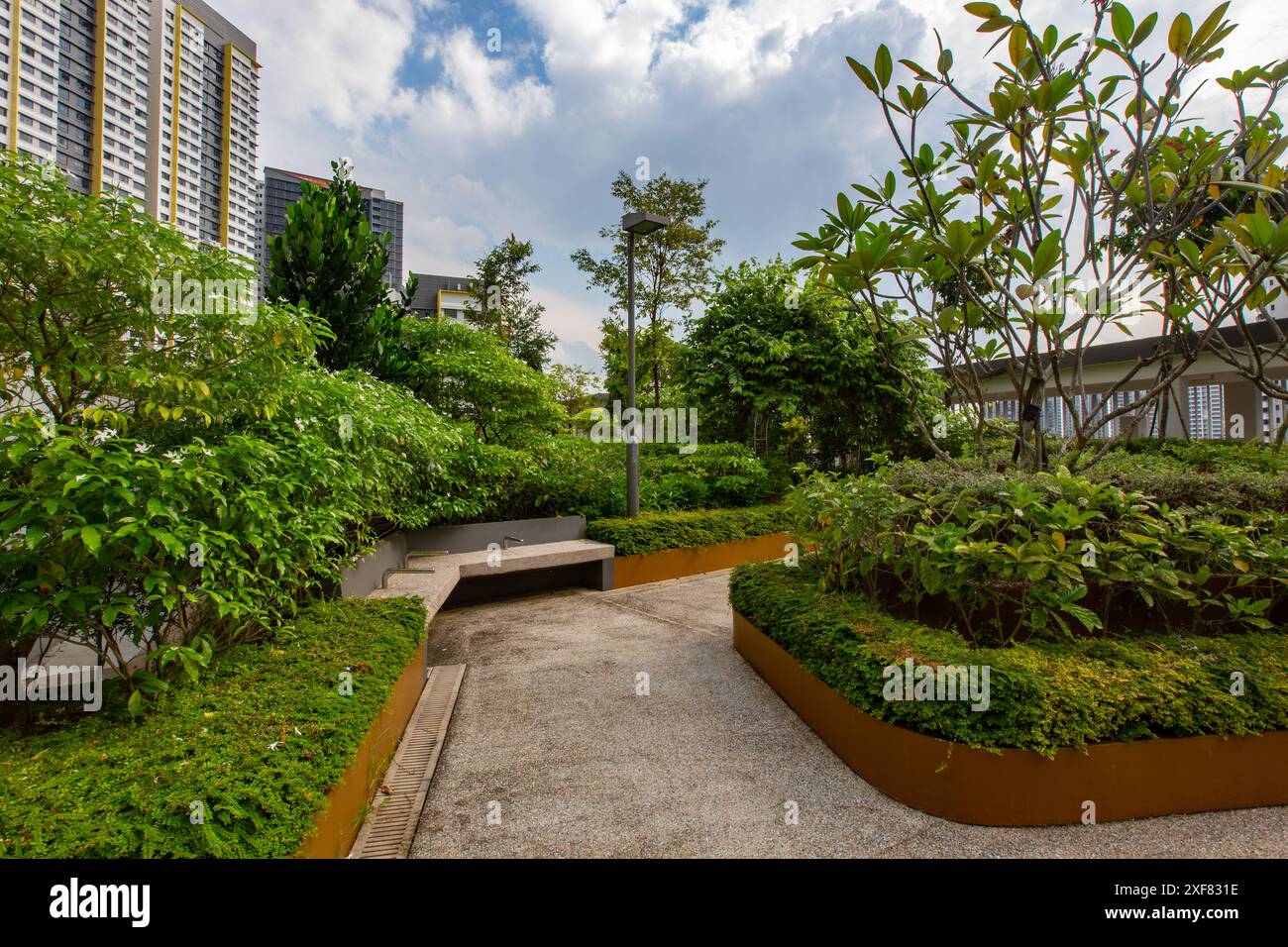 Rooftop outdoor green garden. Lush nature greenery landscaping facility ...