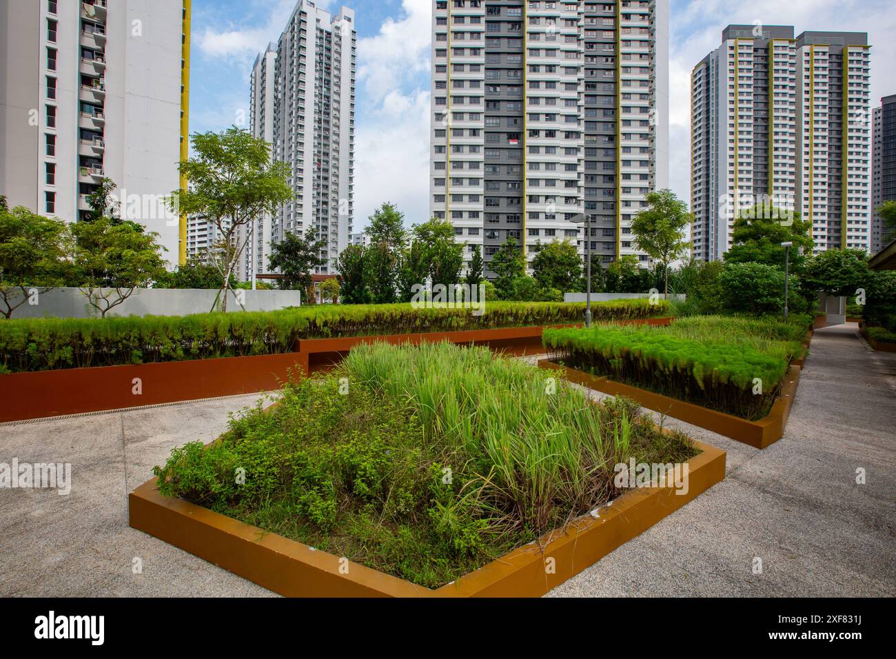 Rooftop outdoor green garden. Lush nature greenery landscaping facility ...