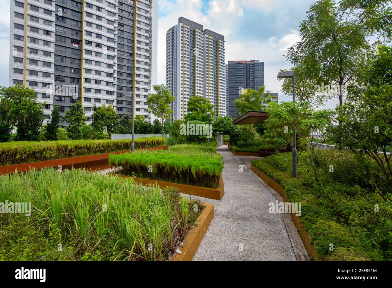 Rooftop outdoor green garden. Lush nature greenery landscaping facility ...