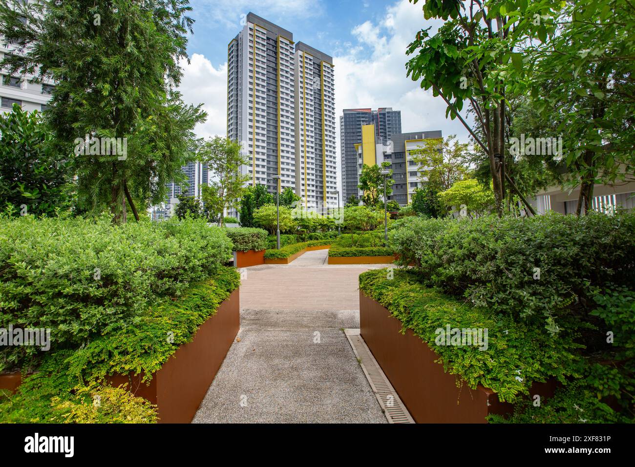 Rooftop outdoor green garden. Lush nature greenery landscaping facility ...