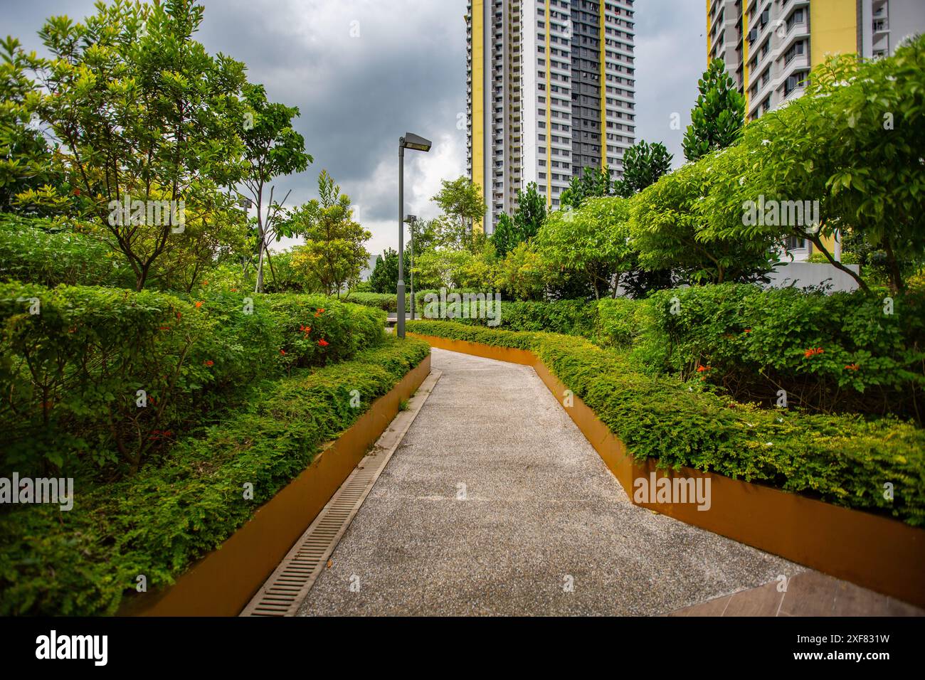 Rooftop outdoor green garden. Lush nature greenery landscaping facility ...